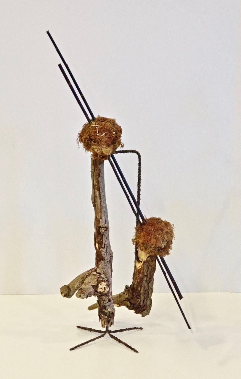 Modern Abstract West Australian Floral Art Society Inc 